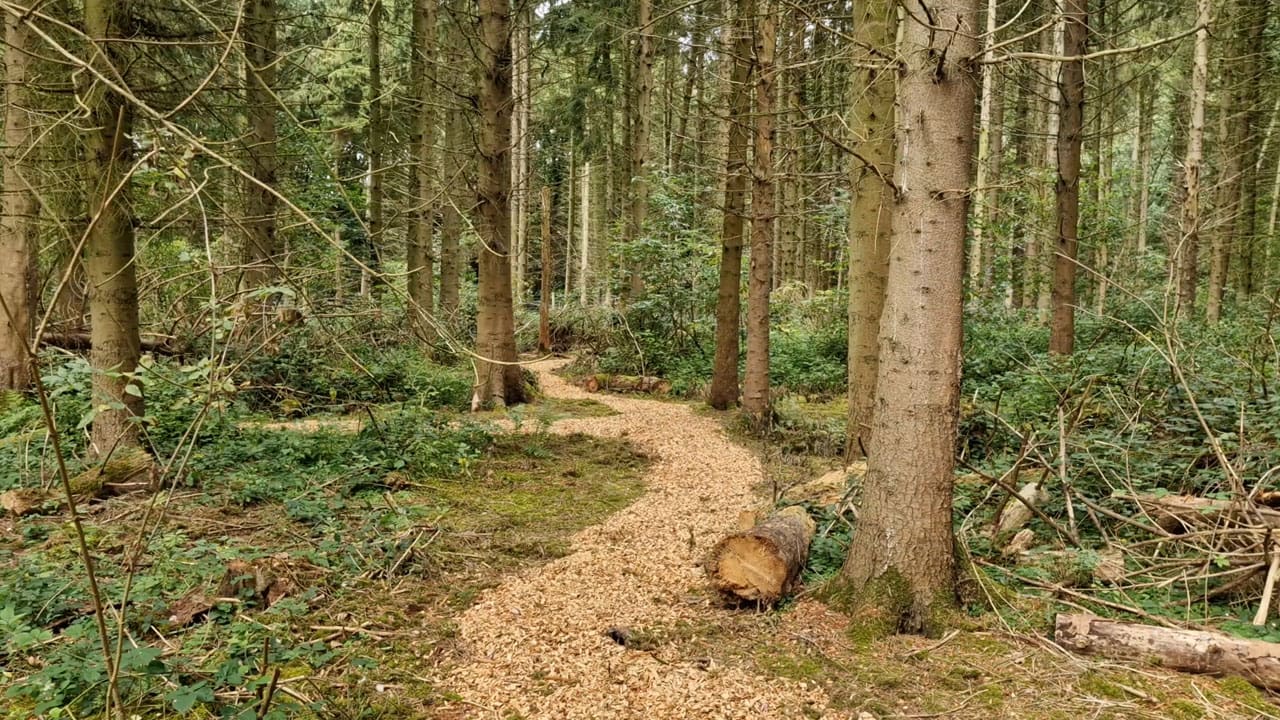 Take a look | Woodland Secure Dog Field