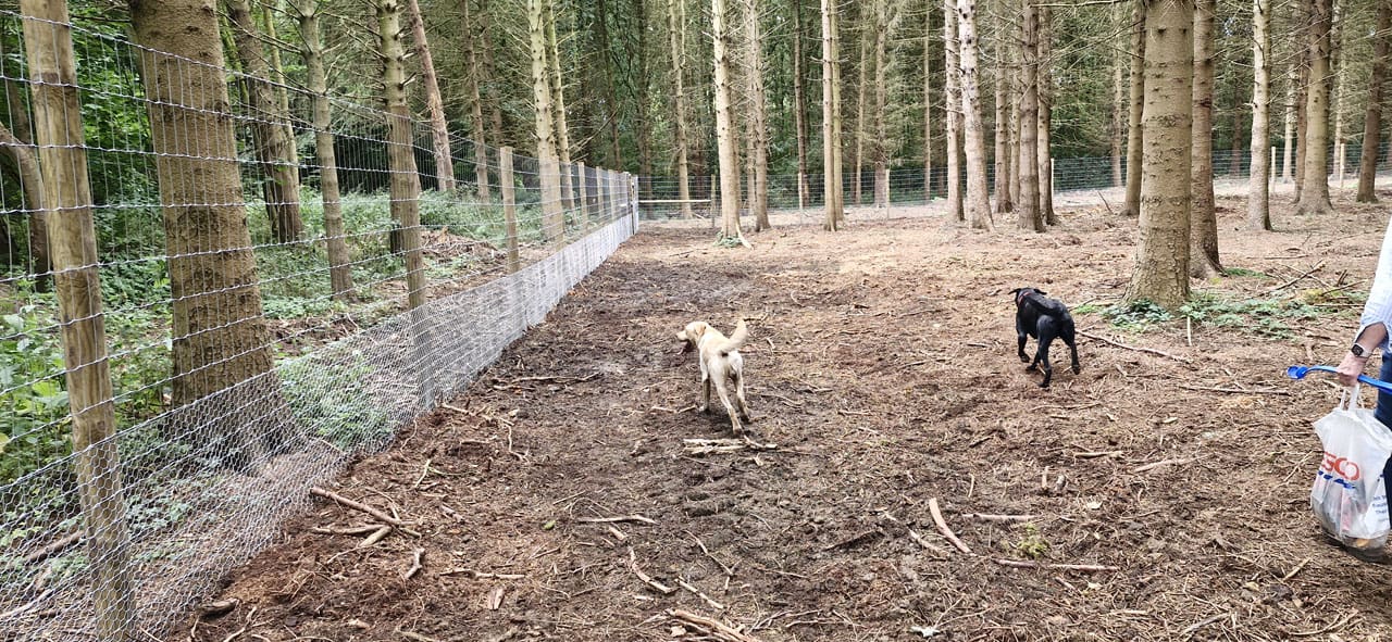 Take a look | Woodland Secure Dog Field