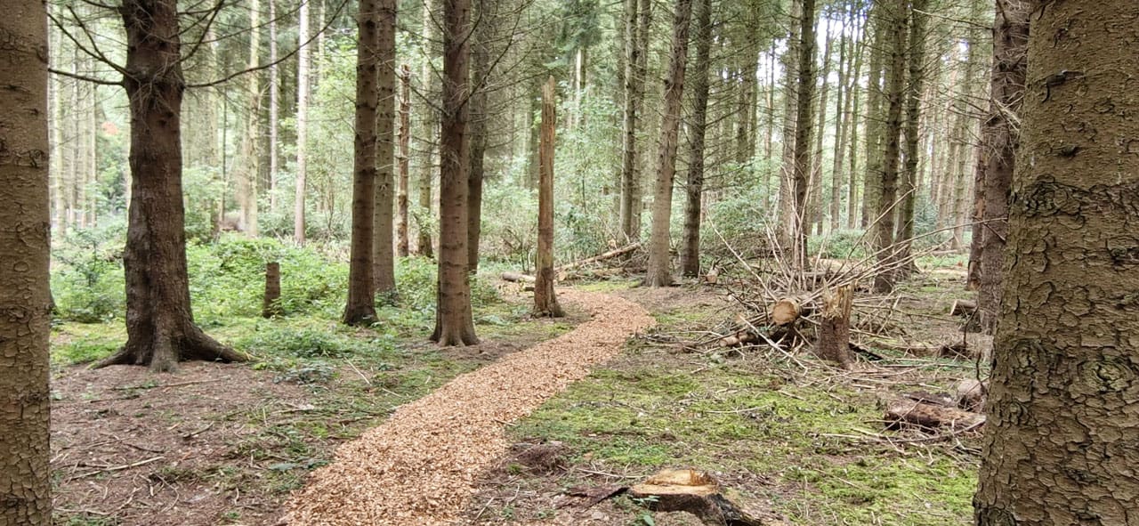 Take a look | Woodland Secure Dog Field