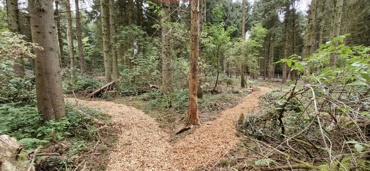 Take a look | Woodland Secure Dog Field